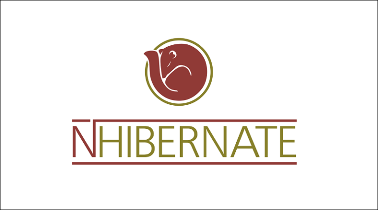 Nhibernate On Aspnet Core